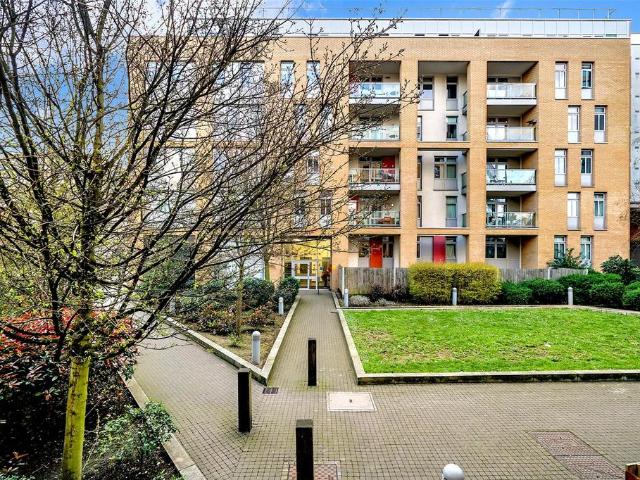 3 bedroom apartment to rent