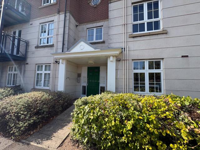 3 bedroom apartment to rent