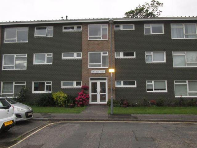3 bedroom apartment to rent