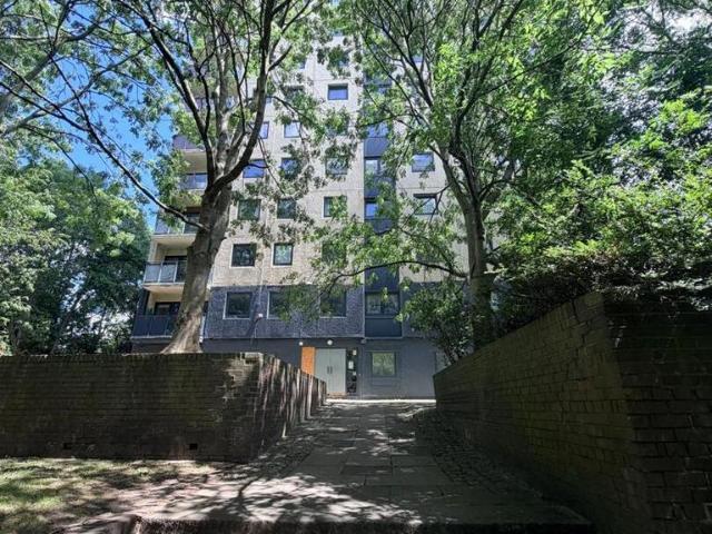 3 bedroom apartment to rent