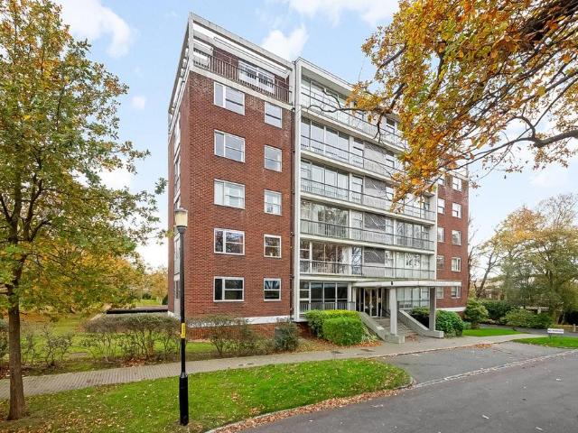 3 bedroom apartment to rent
