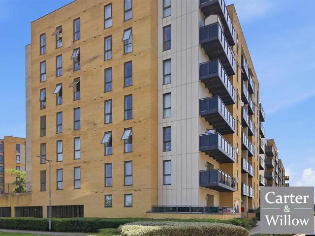 3 bedroom apartment to rent