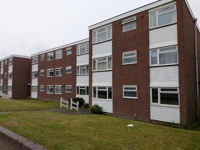3 bedroom apartment to rent