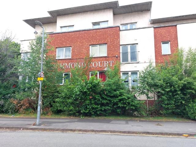 3 bedroom apartment to rent