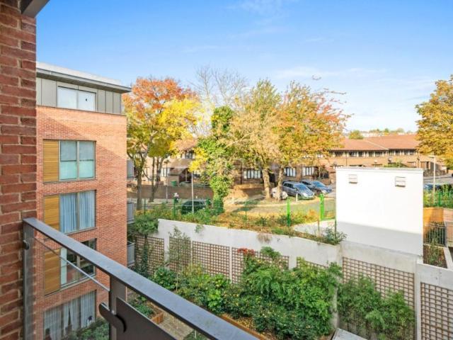 3 bedroom apartment to rent