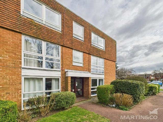 3 bedroom apartment to rent
