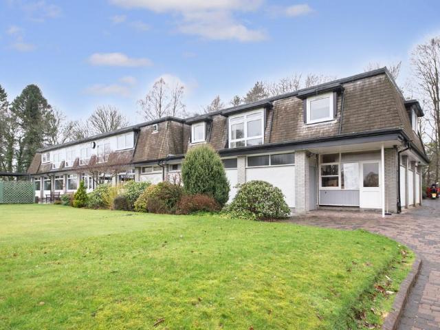 3 bedroom apartment to rent