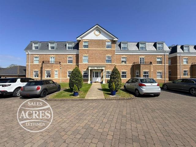3 bedroom apartment to rent
