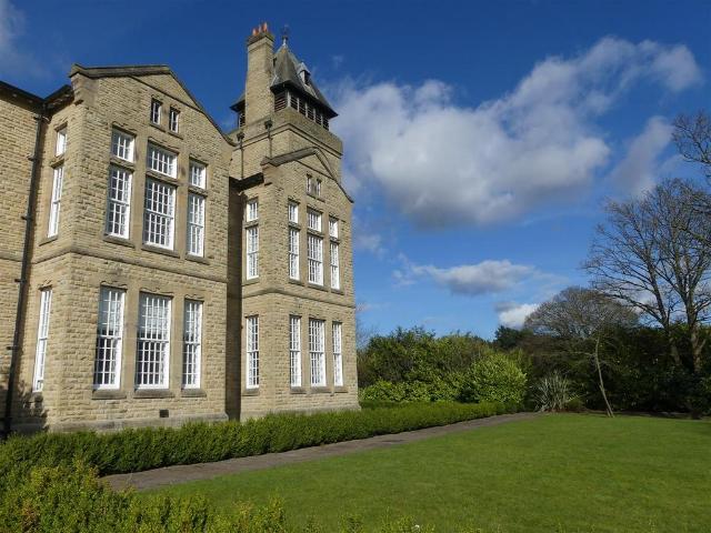 3 bedroom apartment to rent