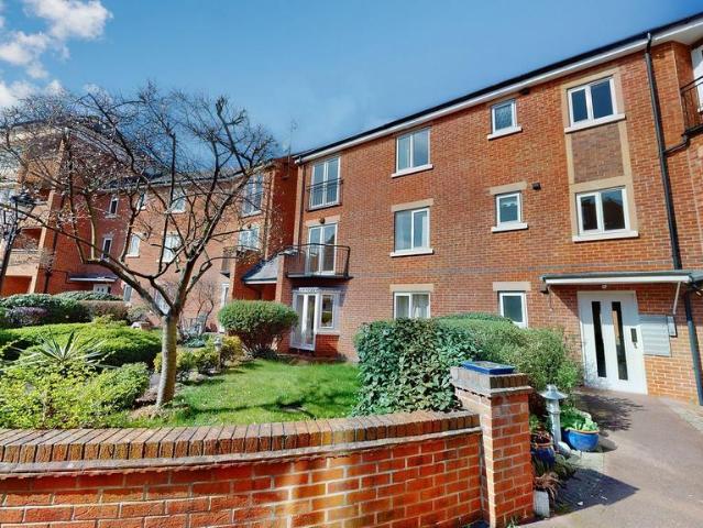 3 bedroom apartment to rent
