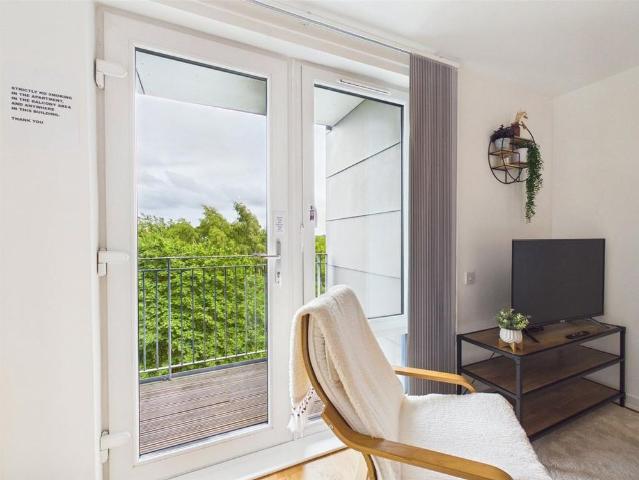 3 bedroom apartment to rent