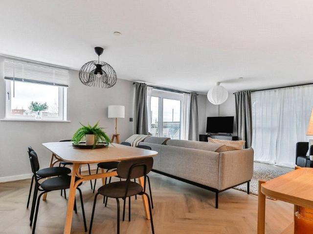 3 bedroom apartment to rent
