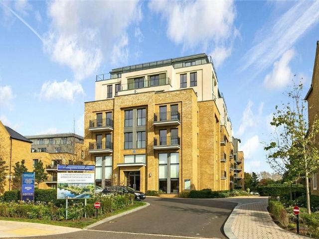 3 bedroom apartment to rent