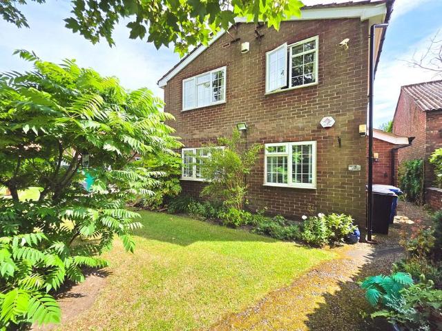 3 bedroom apartment to rent