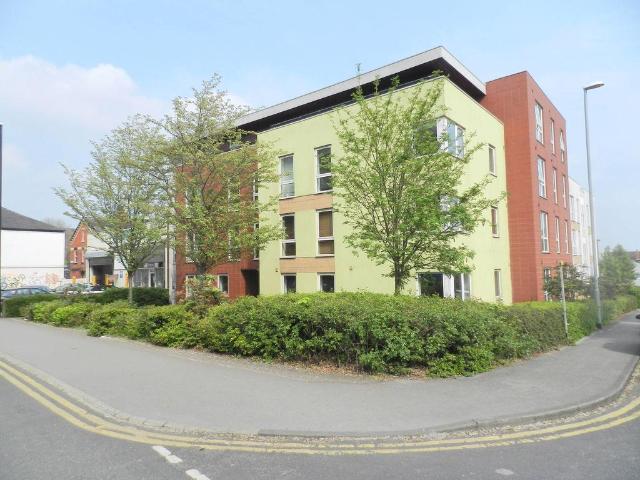 3 bedroom apartment to rent