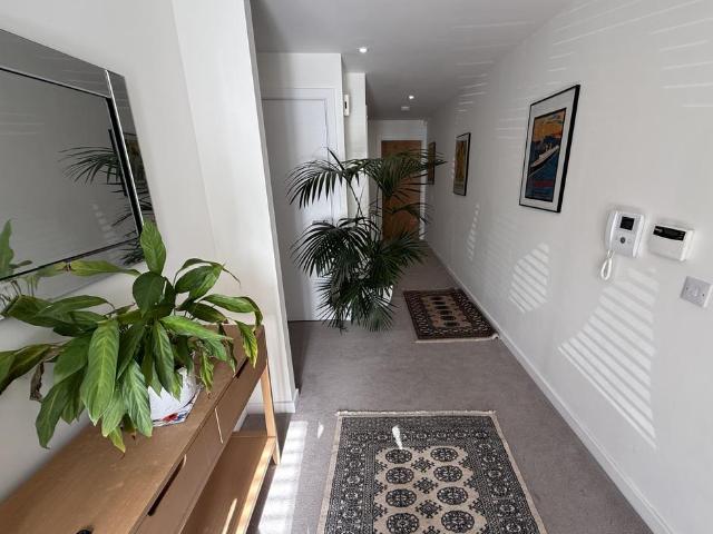 3 bedroom apartment to rent
