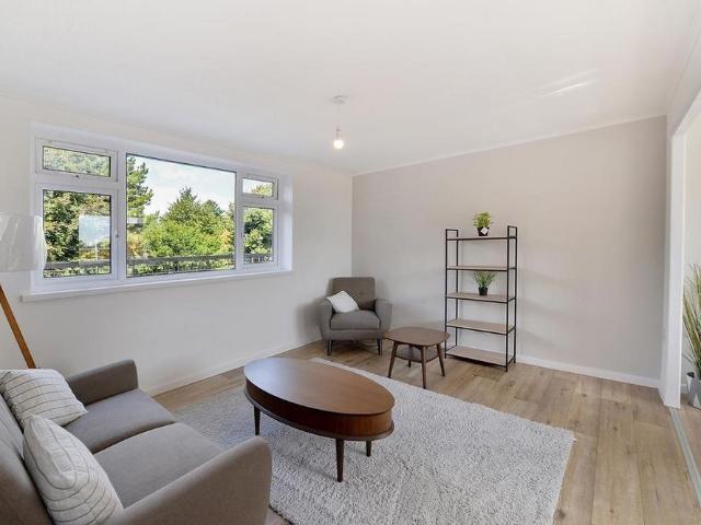3 bedroom apartment to rent