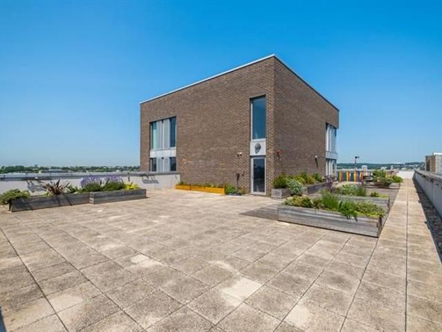 3 bedroom apartment to rent