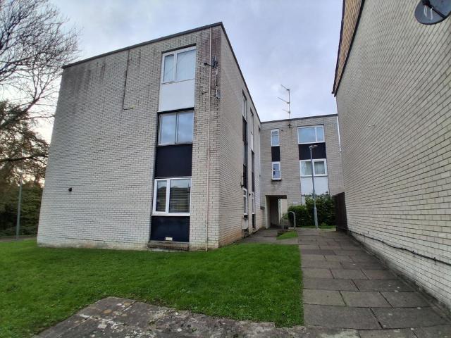 3 bedroom apartment to rent
