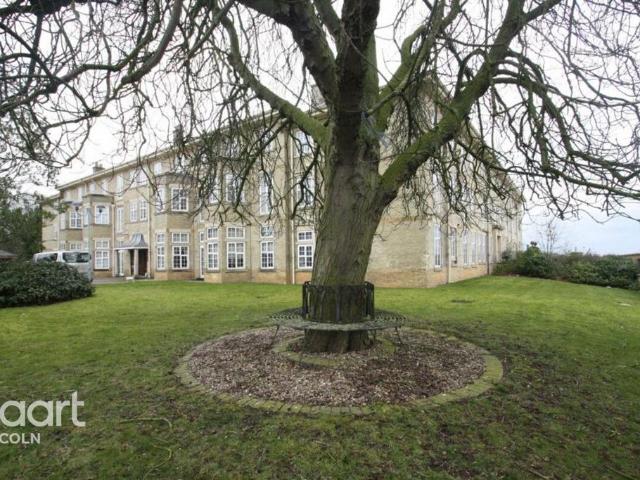 3 bedroom apartment to rent