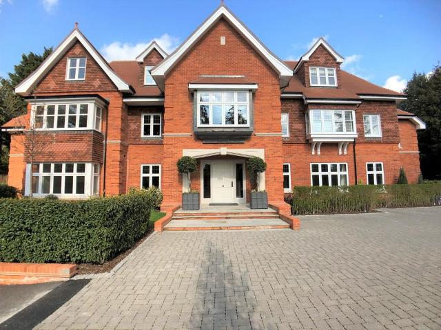 3 bedroom apartment to rent