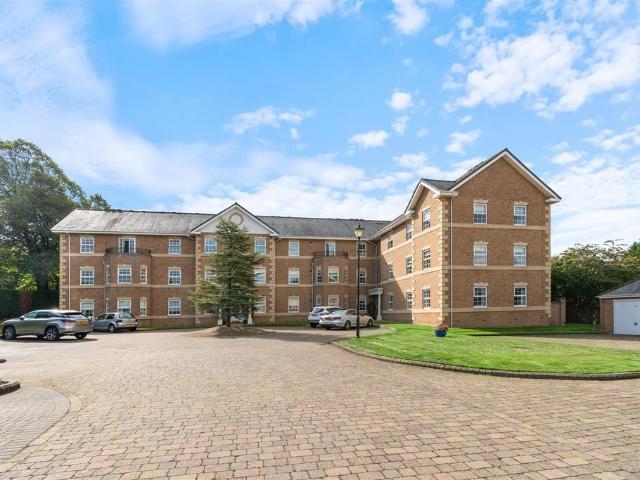 3 bedroom apartment to rent