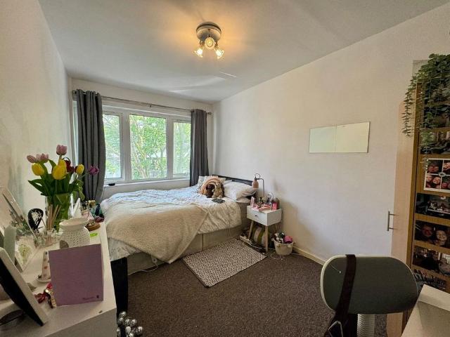 3 bedroom apartment to rent