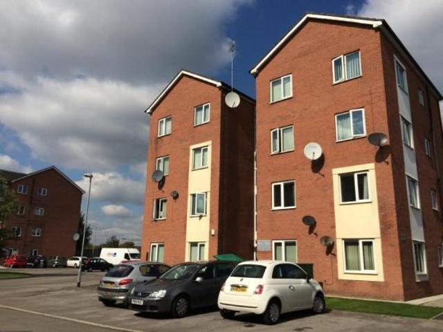 3 bedroom apartment to rent