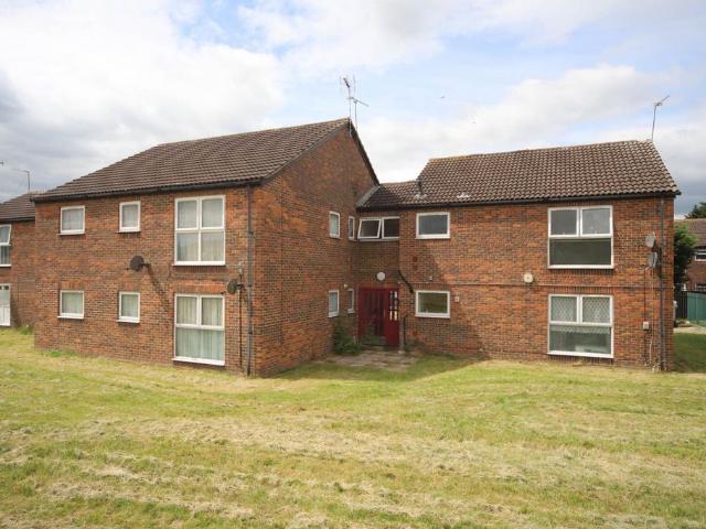 3 bedroom apartment to rent