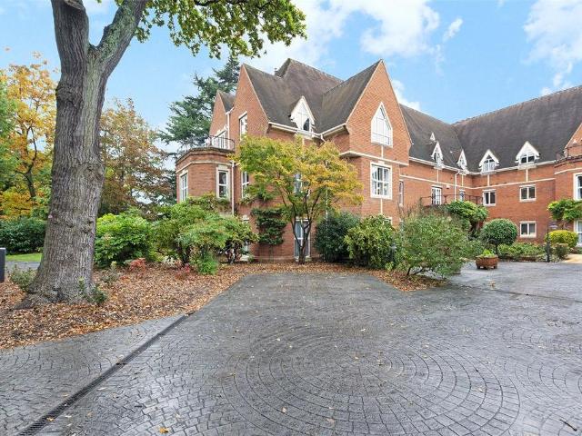 3 bedroom apartment to rent