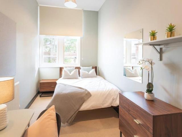 3 bedroom apartment to rent