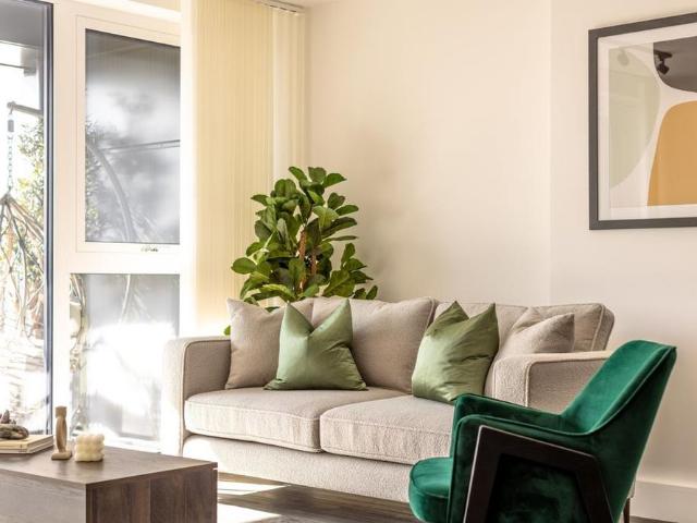 3 bedroom apartment to rent
