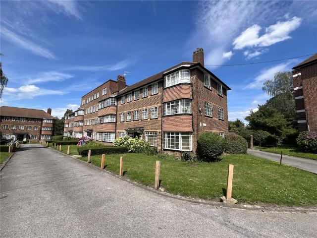 3 bedroom apartment to rent