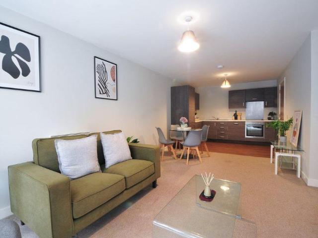 3 bedroom apartment to rent