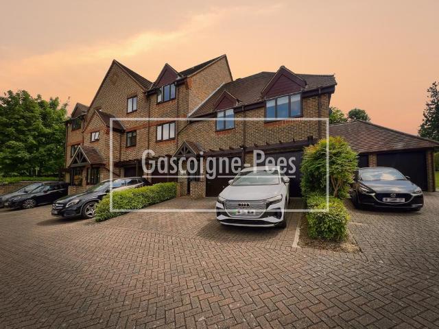 3 bedroom apartment to rent