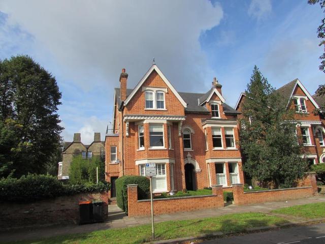 3 bedroom apartment to rent