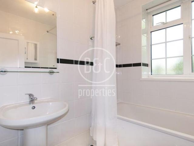 3 bedroom apartment to rent