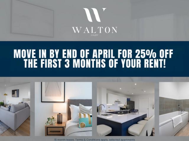 3 bedroom apartment to rent