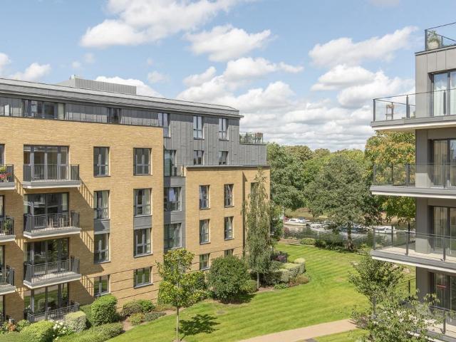 3 bedroom apartment to rent