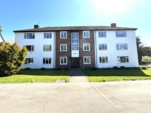 3 bedroom apartment to rent