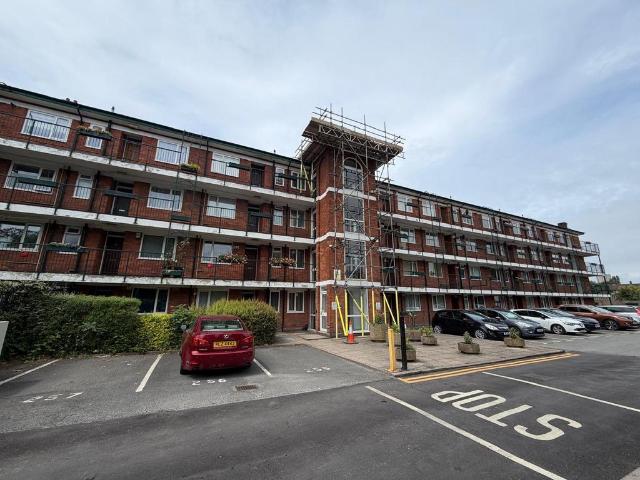 3 bedroom apartment to rent