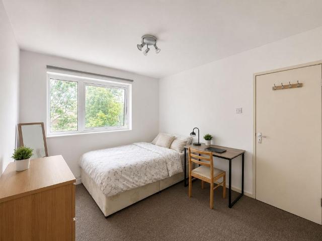 3 bedroom apartment to rent