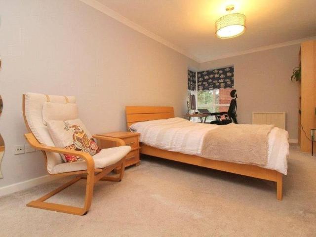 3 bedroom apartment to rent