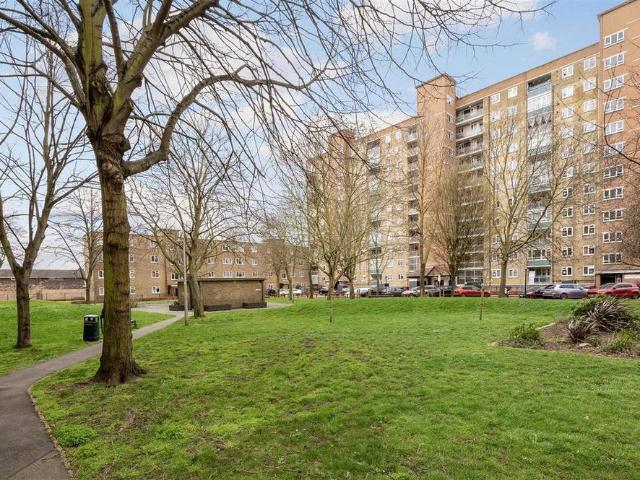 3 bedroom apartment to rent