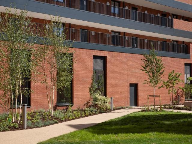 3 bedroom apartment to rent
