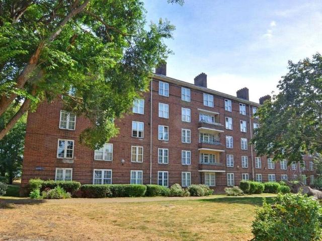3 bedroom apartment to rent
