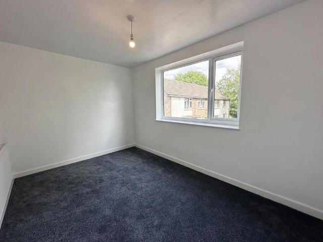 3 bedroom apartment to rent