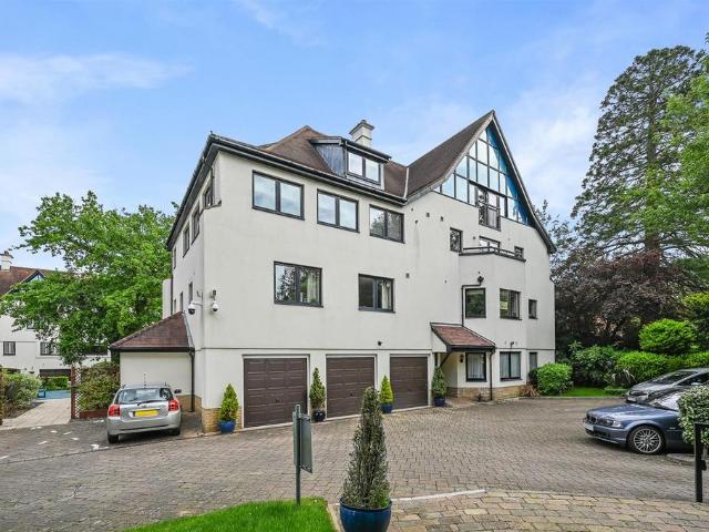 3 bedroom apartment to rent