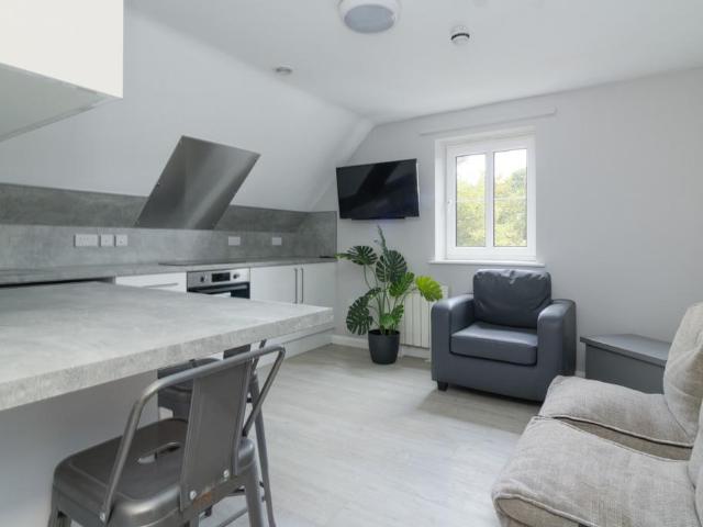 3 bedroom apartment to rent