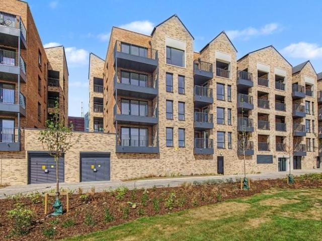 3 bedroom apartment to rent